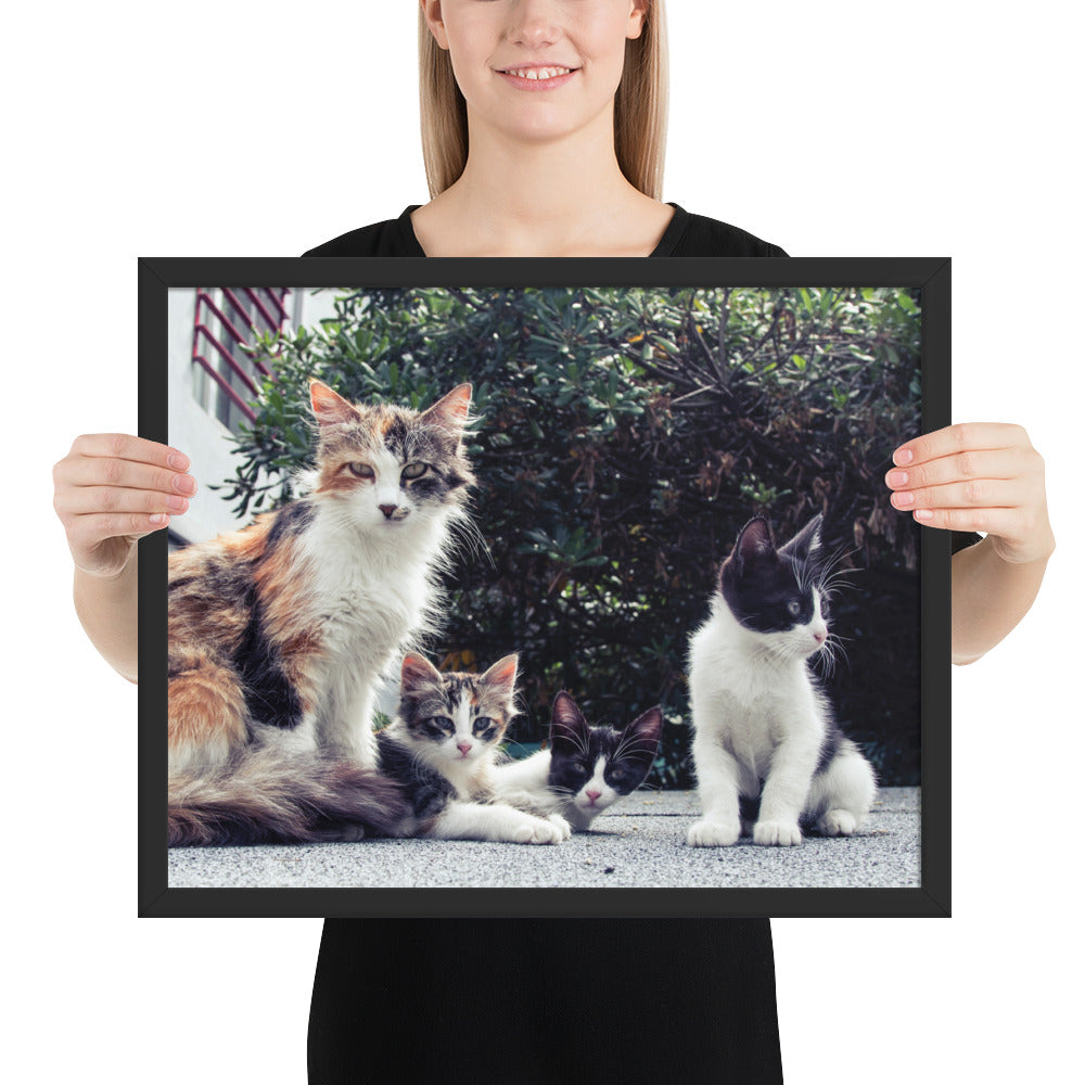 Tableau Chat Rigolo | Lofty Trend