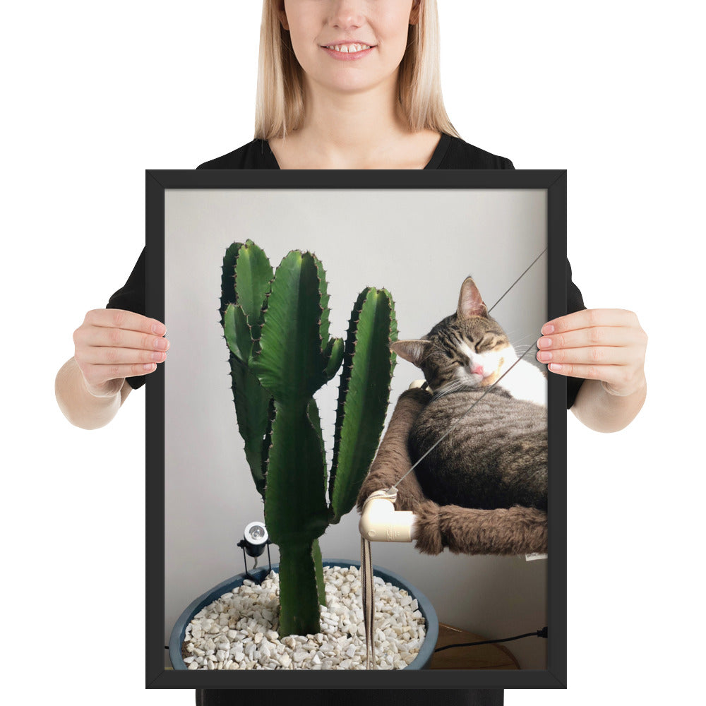 Tableau Chat Rigolo Cactus | Lofty Trend