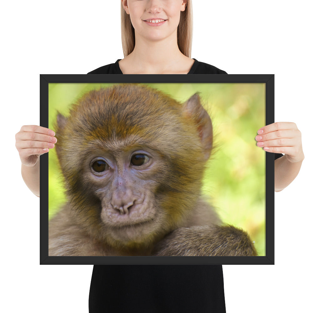 Tableau Singe Timide | Lofty Trend